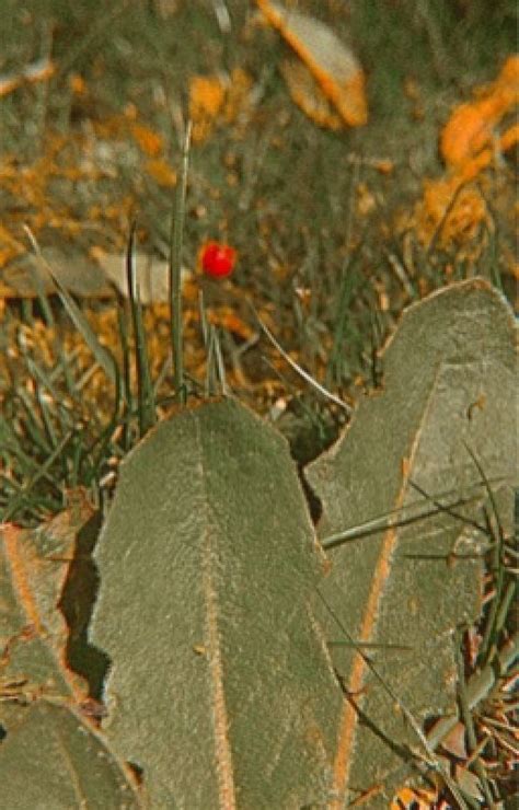 Kirishimaxyn Stories Wattpad