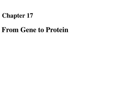 PPT From Gene To Protein PowerPoint Presentation Free Download ID