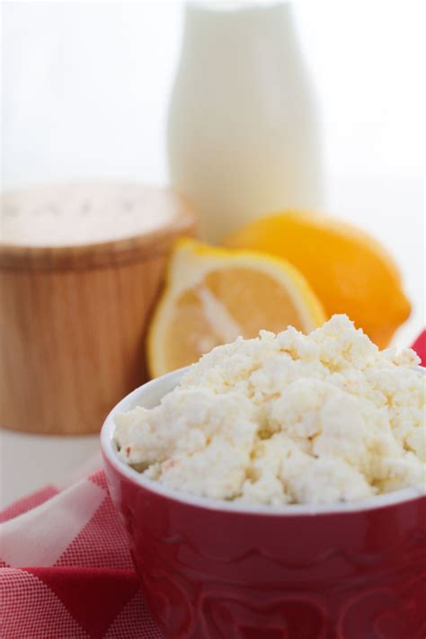 Whole Milk Ricotta Cheese Low Calorie Eating