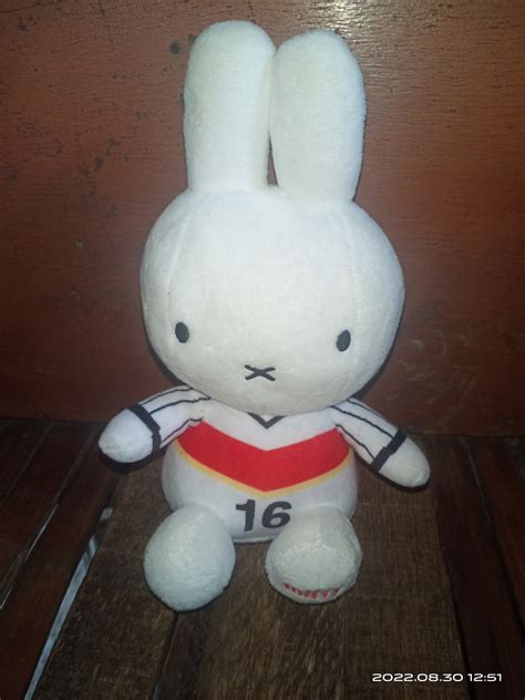 Rare Miffy, Hobbies & Toys, Toys & Games on Carousell