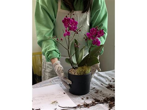 Online Business Class 온라인 꽃집 창업반 클래스아홈