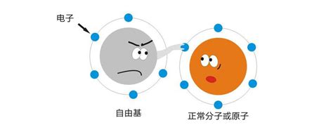 长期居家，警惕自由基侵害 知乎