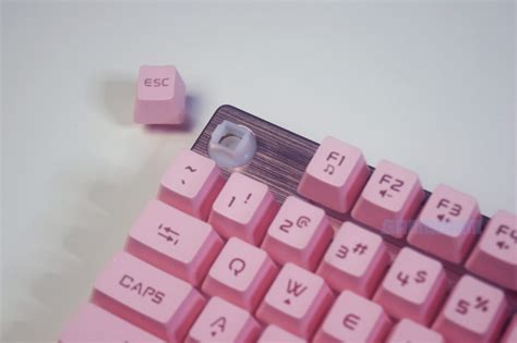 Review Fantech Sakura Lite Edition Punya Setup Pink Gak Harus Mahal