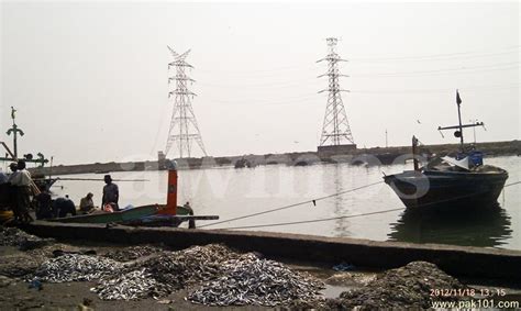 Trip To Ibrahim Hyderi Fish Harbour Karachi Behind Paf Korangi Creek