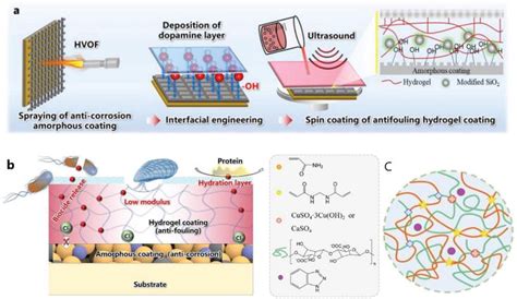 Developments And Challenges Of Hydrogel Coatings For Long Term Marine
