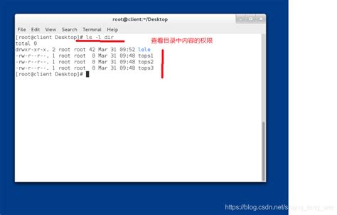 文件及目录的权限文件权限设置安全保护工具 Csdn博客