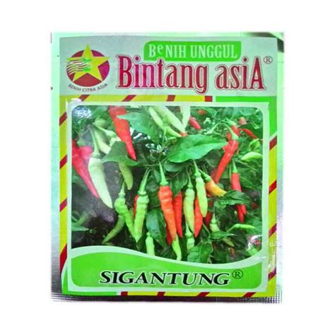 Jual Produk Benih Cabe Rawit Sigantung Large Sikumis