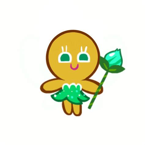 Bald Cookie Smores Cookie Run Amino