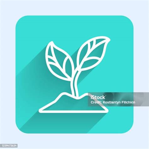 긴 그림자로 격리 된 흰색 선 식물 아이콘입니다 종자 및 묘목 나뭇잎 기호입니다 잎 자연입니다 녹색 사각형 버튼입니다 벡터 일러스트레이션 0명에 대한 스톡 벡터 아트 및
