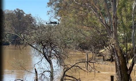 Innovative Use Of Drones Restore Internet After Floods Dairy News Australia