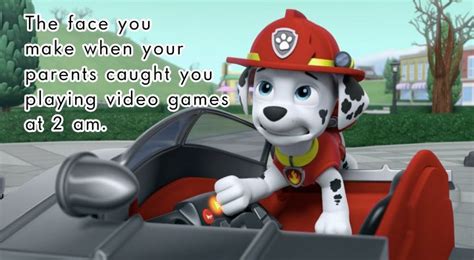 Memes Octonauts Paw Patrol Etc Memes 3 Wattpad