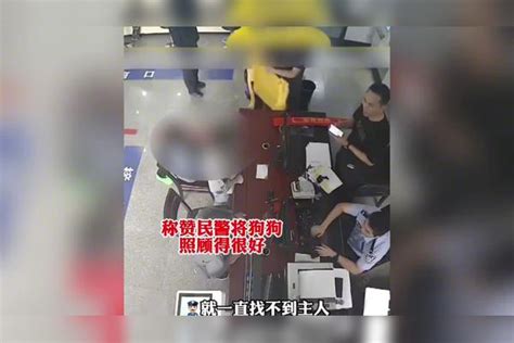 派出所民警照顾一只走失的小狗，主人寻回后发现：狗狗开朗不少！