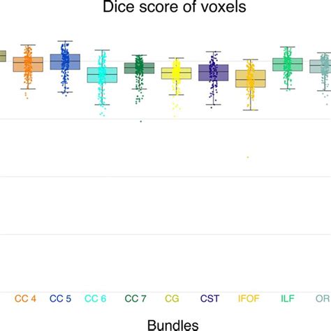 Bundles Dice Similarity Coefficient Scores For All Subjects And Download Scientific Diagram