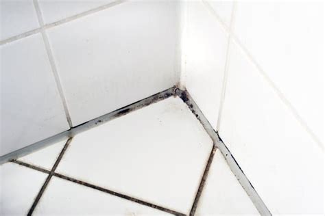 Is Mold Lurking Under Your Tile Bathtubber