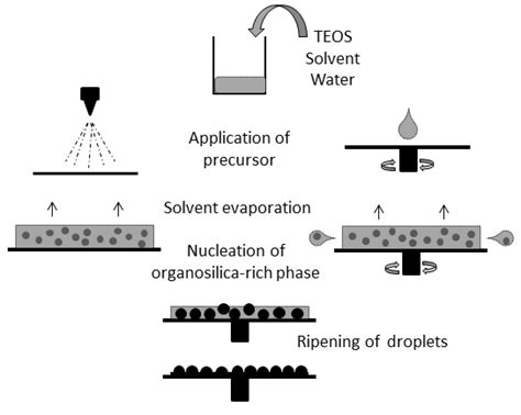 Schematic Illustration Of Used Coating Processes And Formation Of