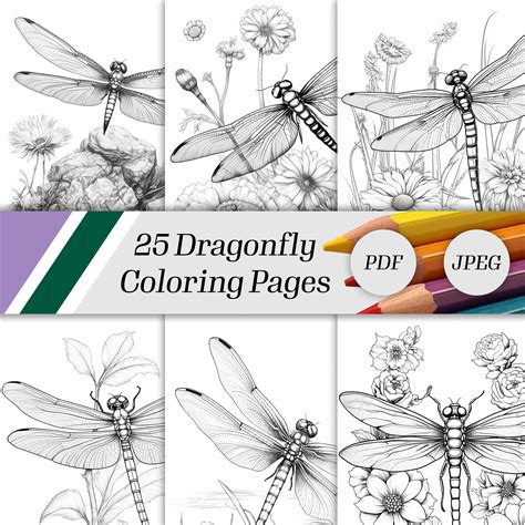 Dragonflies Coloring Pages For Adults 25 Dragonfly And Flowers Coloring