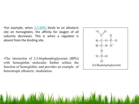 Allosteric Enzymes Regulation Pptx