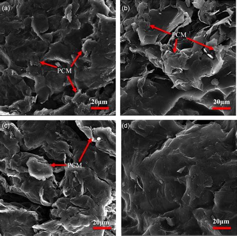 Structural Analysis Of Pcm Composites Scanning Electron Microscope