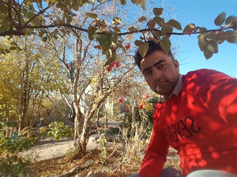 Hamid Mirtalebi Posted On Linkedin