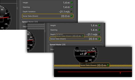 Displaying An Echogram