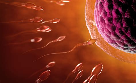 Qué Pasa Cuando Un Hombre Eyacula Con Sangre Salud180