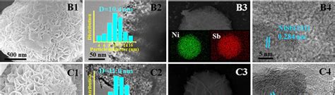 B1 Sem B2 Tem And Particle Size Distribution B3 Elemental Download Scientific Diagram