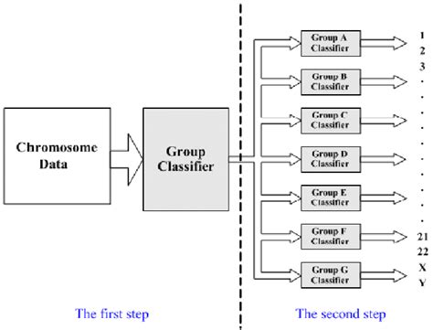 Architecture Of The Hierarchical Multi Layer Neural Network Download