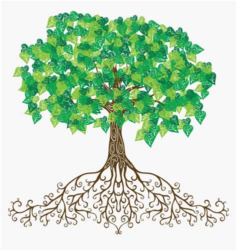 Transparent Tree Of Roots Tree With Roots Cartoon HD Png Download Kindpng