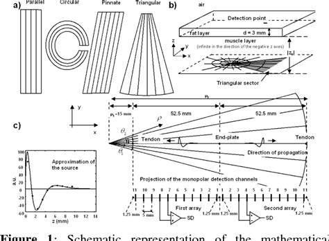 Figure 1 From Simulation Of Surface Emg Signals For A Multi Layer Volume Conductor With