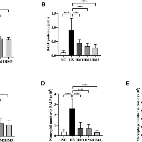Human Umbilical Cord Derived Mesenchymal Stem Cells Huc Mscs Reduces