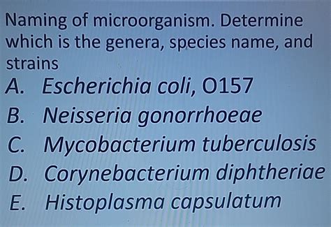 Solved Naming Of Microorganism Determine Which Is The