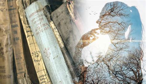 ‘a Priori And ‘a Posteriori Knowledge What Are They Thecollector