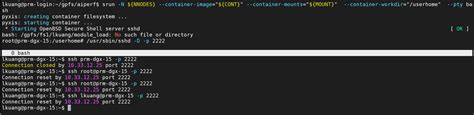 The Sshd Service Can Not Work Correctly In The Container Issue 85