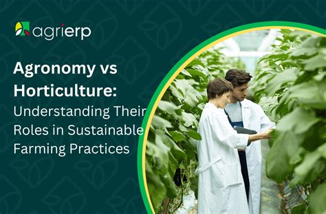 Agronomy Vs Horticulture Key Roles In Sustainable Farming