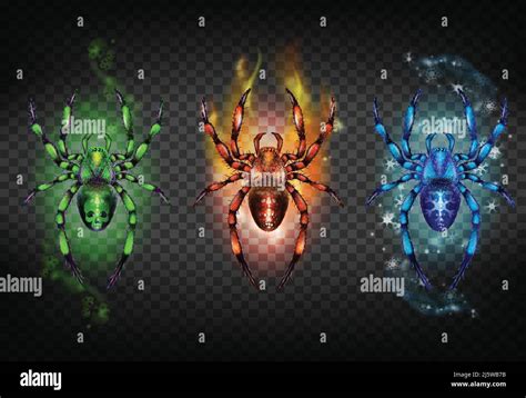 Icy Spiders Web Stock Vector Images Alamy