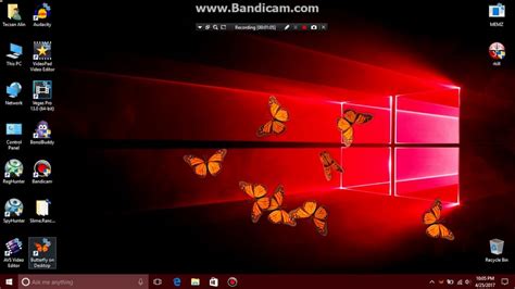 Butterflies On The Screen Computer Viruses Wiki Fandom