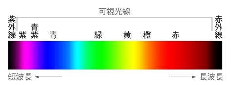 植物はなぜ緑色？【色で学ぶ、エコと防災①】｜屋上緑化やエコ・防災対策を検討するなら川田工業｜川田工業株式会社（環境関連事業）