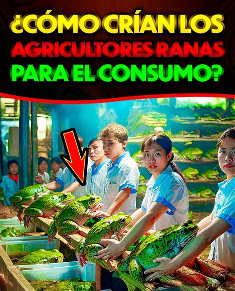 Los Oscuros Secretos Que Las Mujeres Amish Que No Quieren Que Sepas