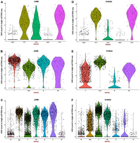 Violin Plots Of The Gene Expression Levels Of JUNB And S100A4 In