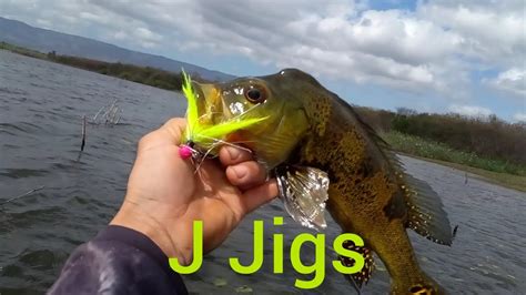 Quando O Lugar E Preservado Acontece Isso Pescaria De Tucunaré