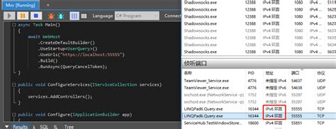 Performance Issue In Useproxytospadevelopmentserver · Issue 18062