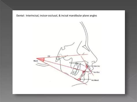 Cephalometrics In Orthodontics Pptx
