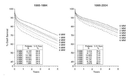 New Approaches In HLA Matching HLA Matchmaker