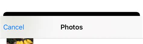 Imagepicker Do Not Take 100 Height Issue 322 NativeScript