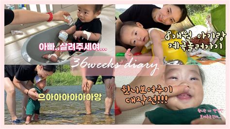 육아로그 수아의 성장일기ㅣ8개월아기 육아브이로그 현실육아 헬육아 30대 부부 아기 요플레 촉감놀이 아기윗니