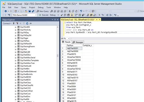 Days Of Echo First Day Relating Epicor Extended Tables Via Sysrowid Estesgroup