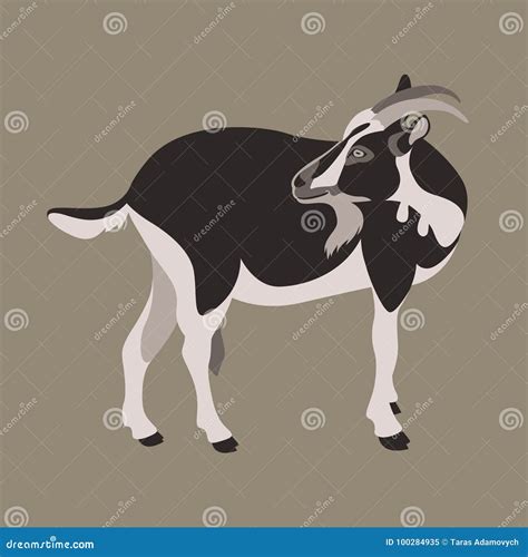 Goat Vector Illustration Flat Style Stock Vector Illustration Of White Nature