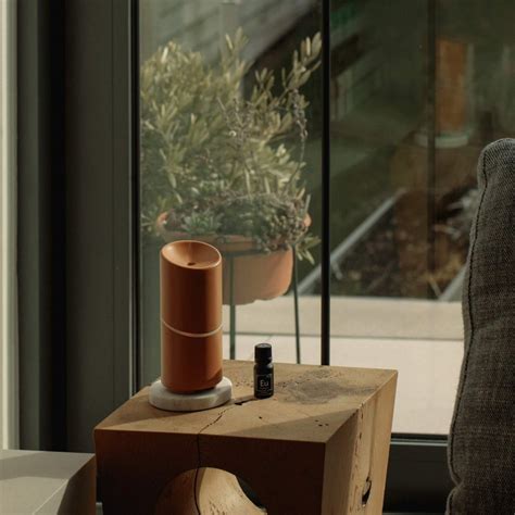 I Tried Canopy S Small And Sleek Diffuser — Here S My Honest Review