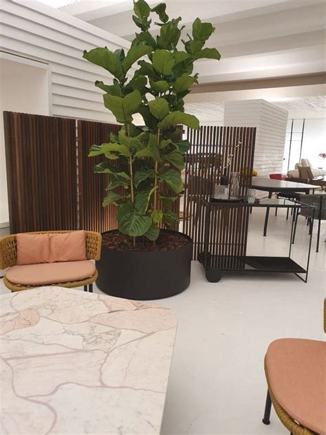 Interior Planters Ideas Idéias De Decoração Casa Paredes De