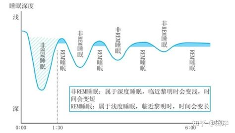 睡觉总是进入深度睡眠 知乎